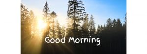 100+ Gorgeous Good Morning Images to Make You Smile