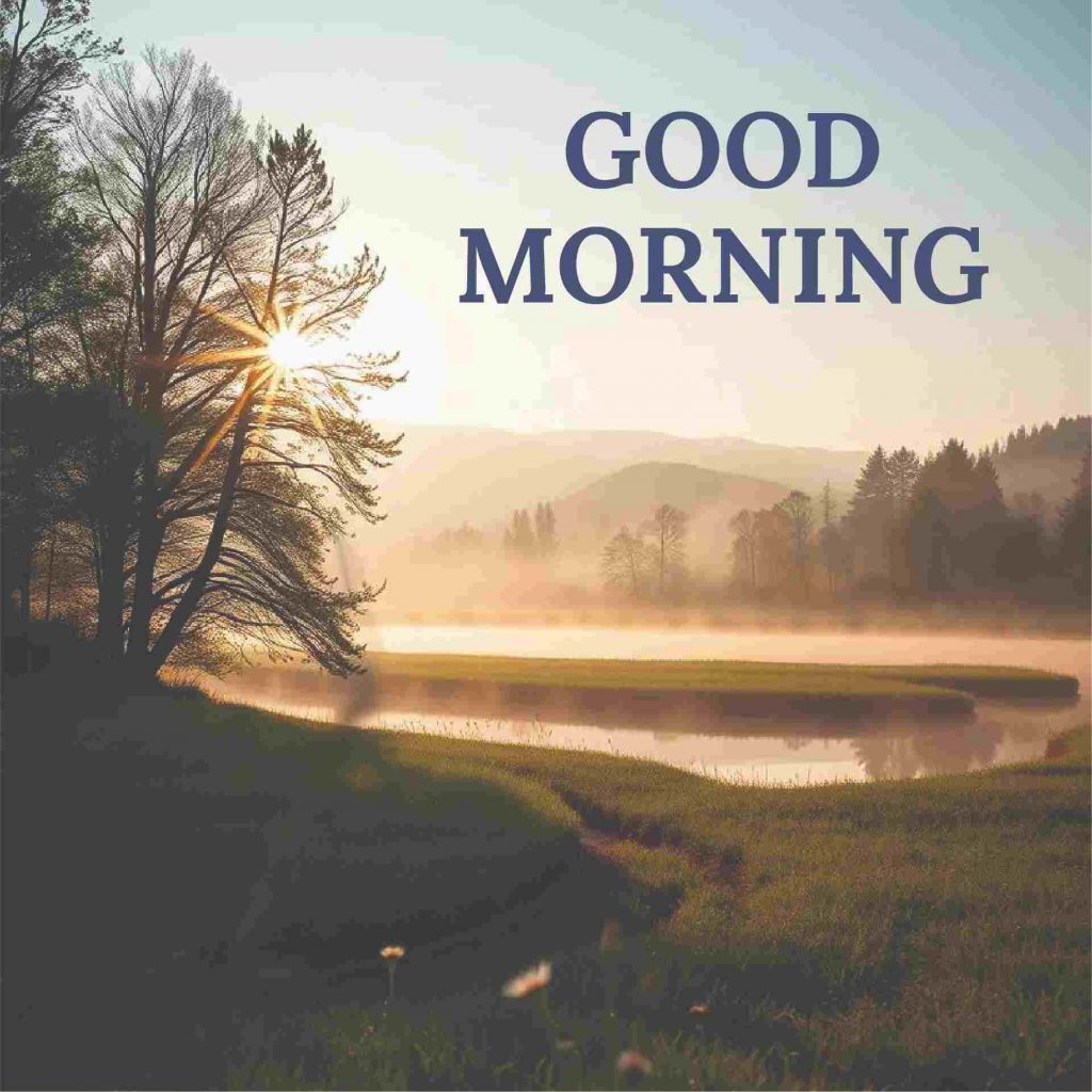 100+ Gorgeous Good Morning Images to Make You Smile