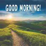 100+ Gorgeous Good Morning Images to Make You Smile