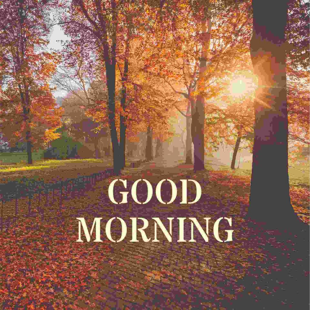 100+ Gorgeous Good Morning Images to Make You Smile