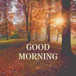 100+ Gorgeous Good Morning Images to Make You Smile