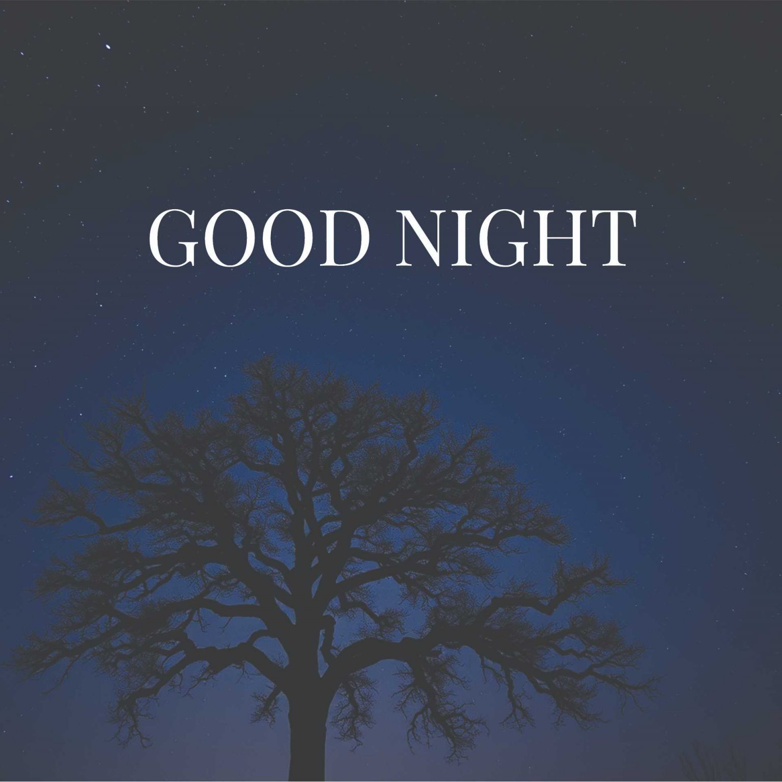 100+ Beautiful Good Night Images & Quotes for a Peaceful Night